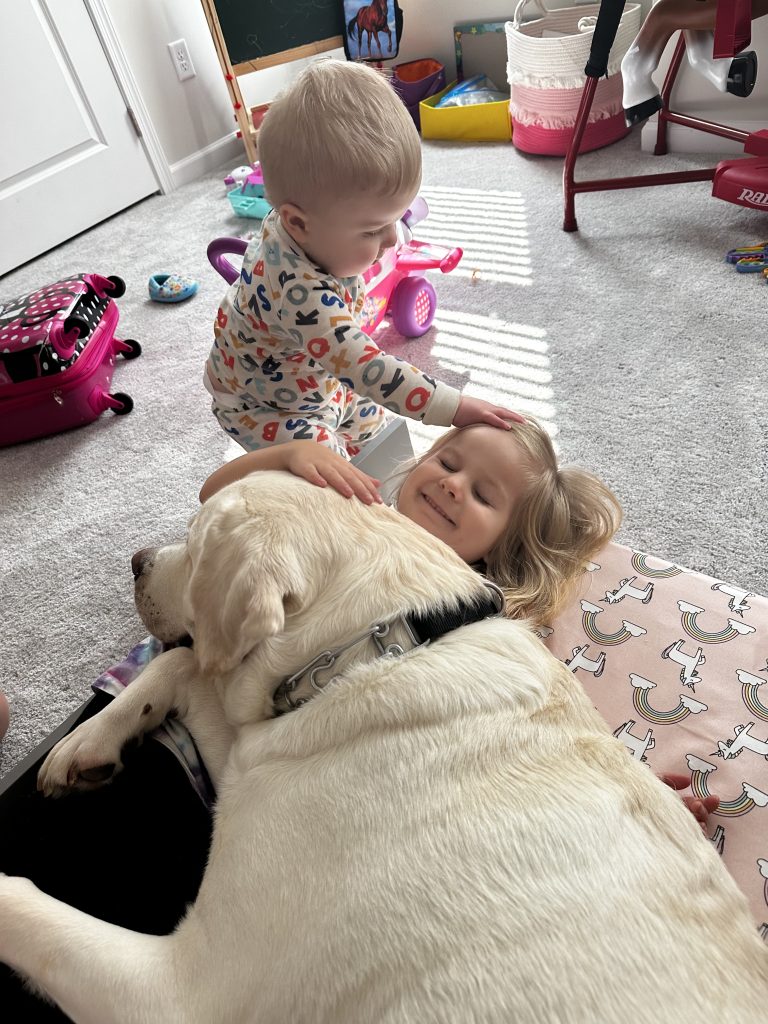 ‘Life changer’: Rescue 22 provides service dogs for vets - Herald-Standard